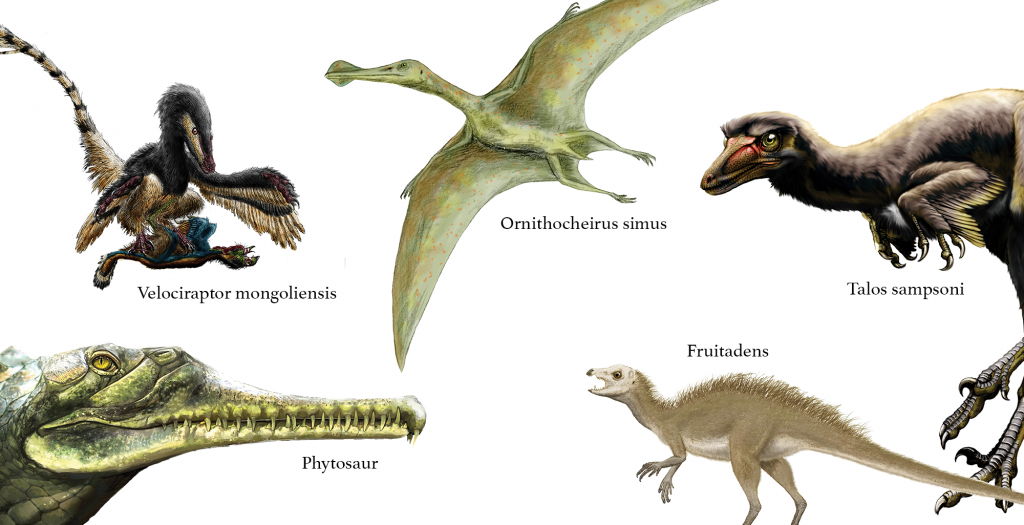 Top 5 Dinosaur Myths | Continuum